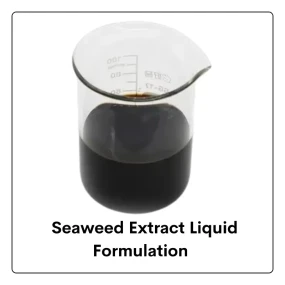 Seaweed Extract Liquid Formulation