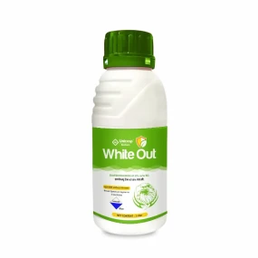 White Out